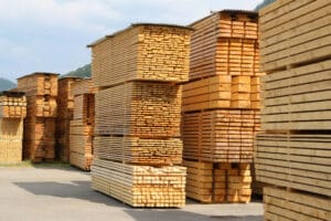 LYNX EQUITY BUYS BUSE TIMBER