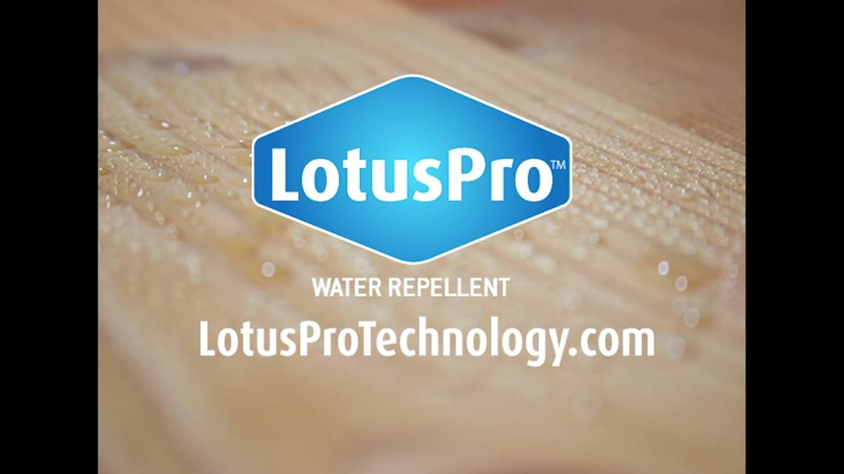 Arxada Adds Water Repellent for Mass Timber